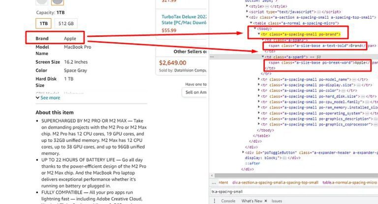 How To Scrape Amazon Data using Python