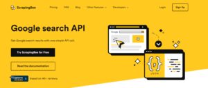 10 Best Google SERP APIs in 2025 to Extract Data From Search Results